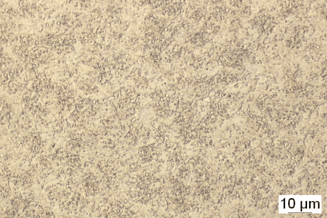 1.4028 - X30Cr13 - AISI 420B | STAINLESS FRÜCHTL